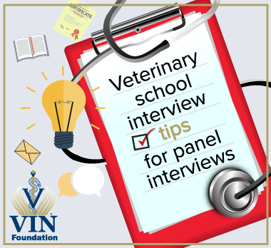 Veterinary school interview questions - support your career